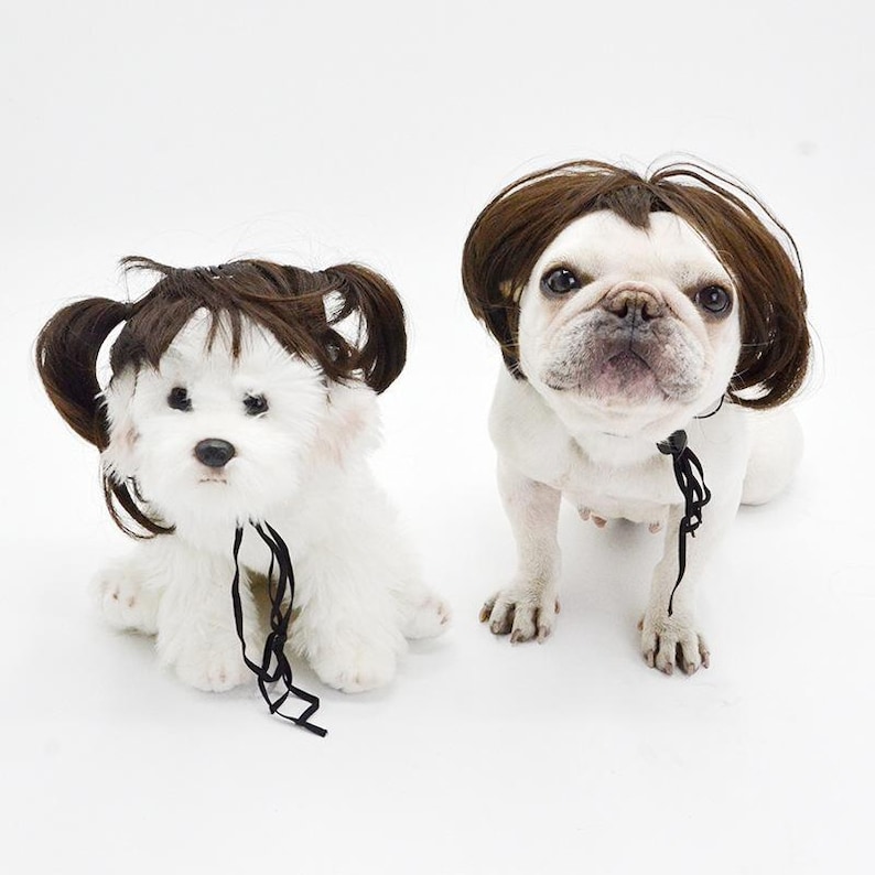 Funny Pet Wig: Trimmable Costume Wig for Dogs & Cats - Etsy