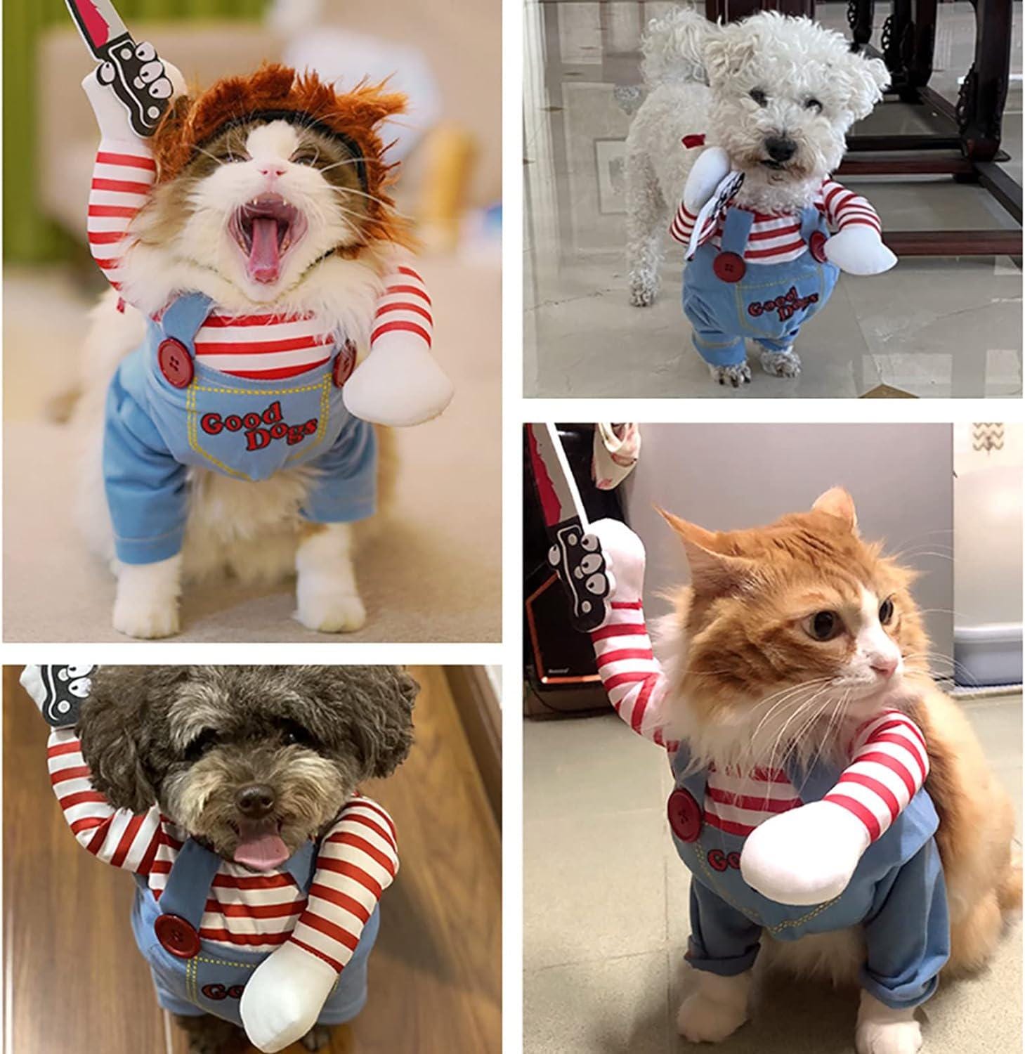 Spooky Pet Halloween Costume - Etsy