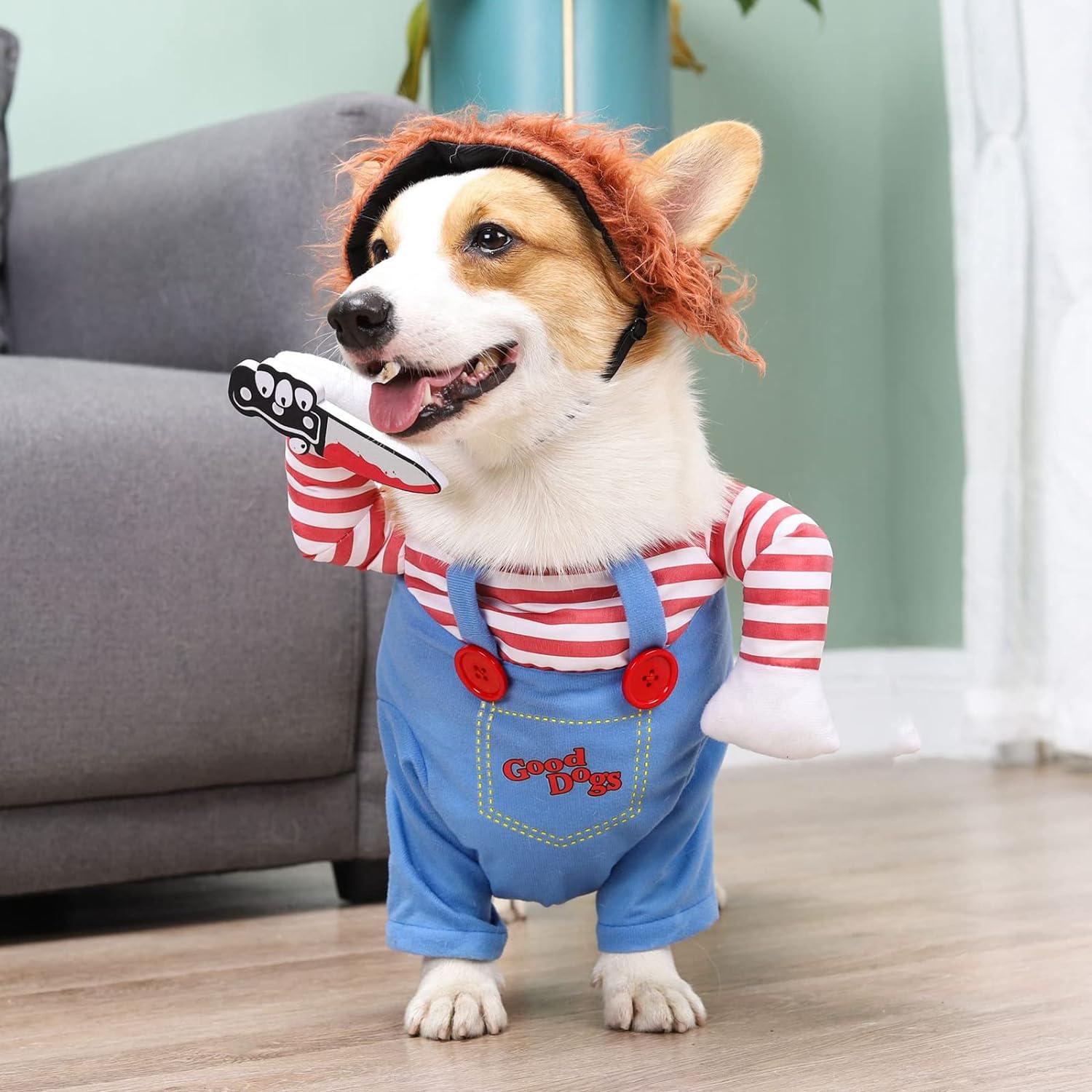 Spooky Pet Halloween Costume - Etsy