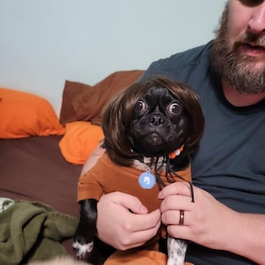 Funny Pet Wig: Trimmable Costume Wig for Dogs & Cats - Etsy