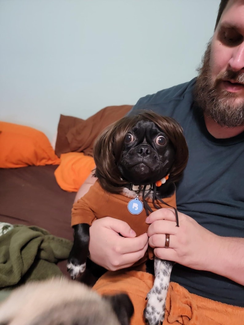 Funny Pet Wig: Trimmable Costume Wig for Dogs & Cats - Etsy