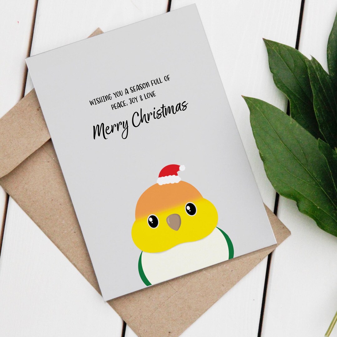 Merry Christmas | Caique | Galah | Sun Conure | Quaker | Bird Lover ...