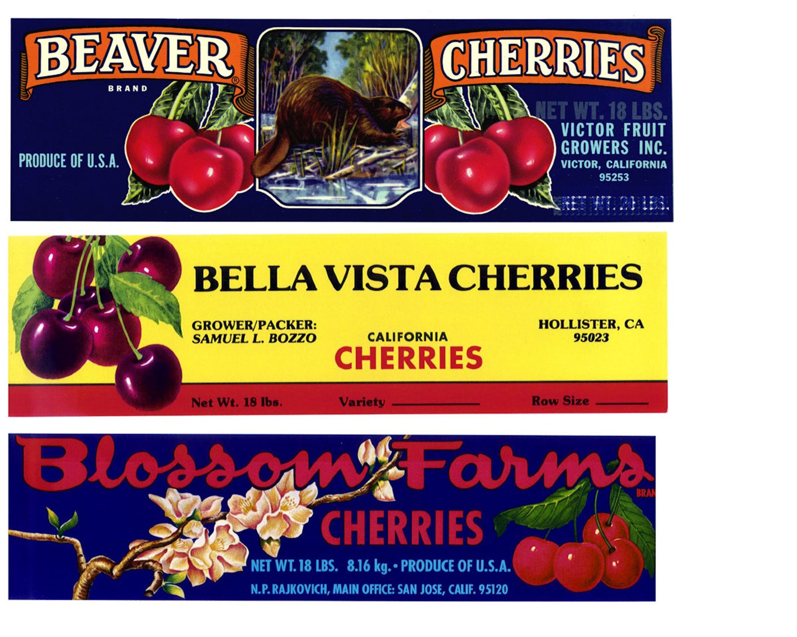 15 Original Cherries Crate Labels Oregon - Etsy