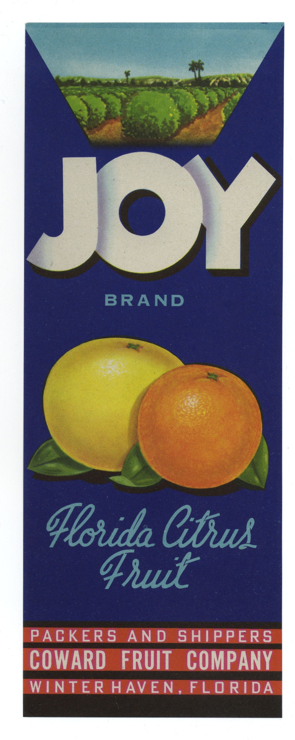 Six Different Florida Fruit Crate Labels - Etsy