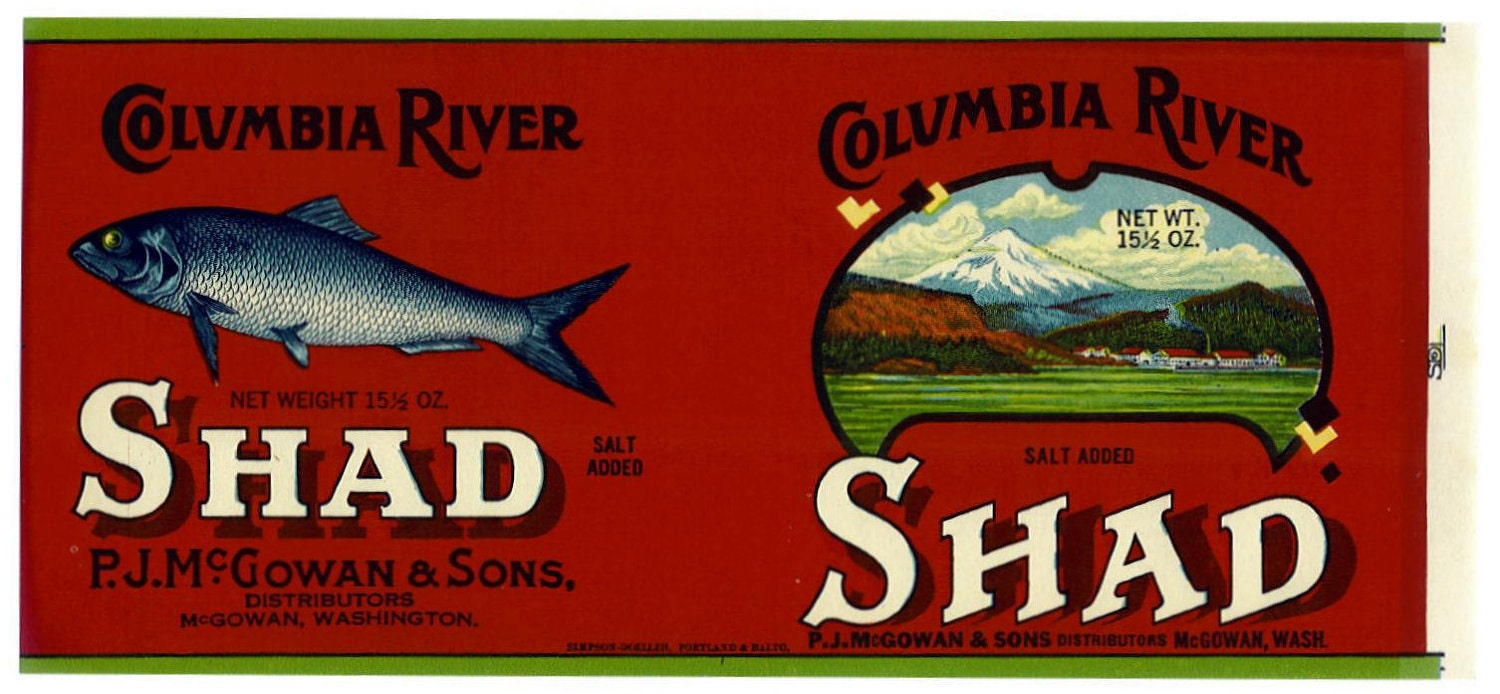 Columbia River Shad Fish can label Washington | Etsy