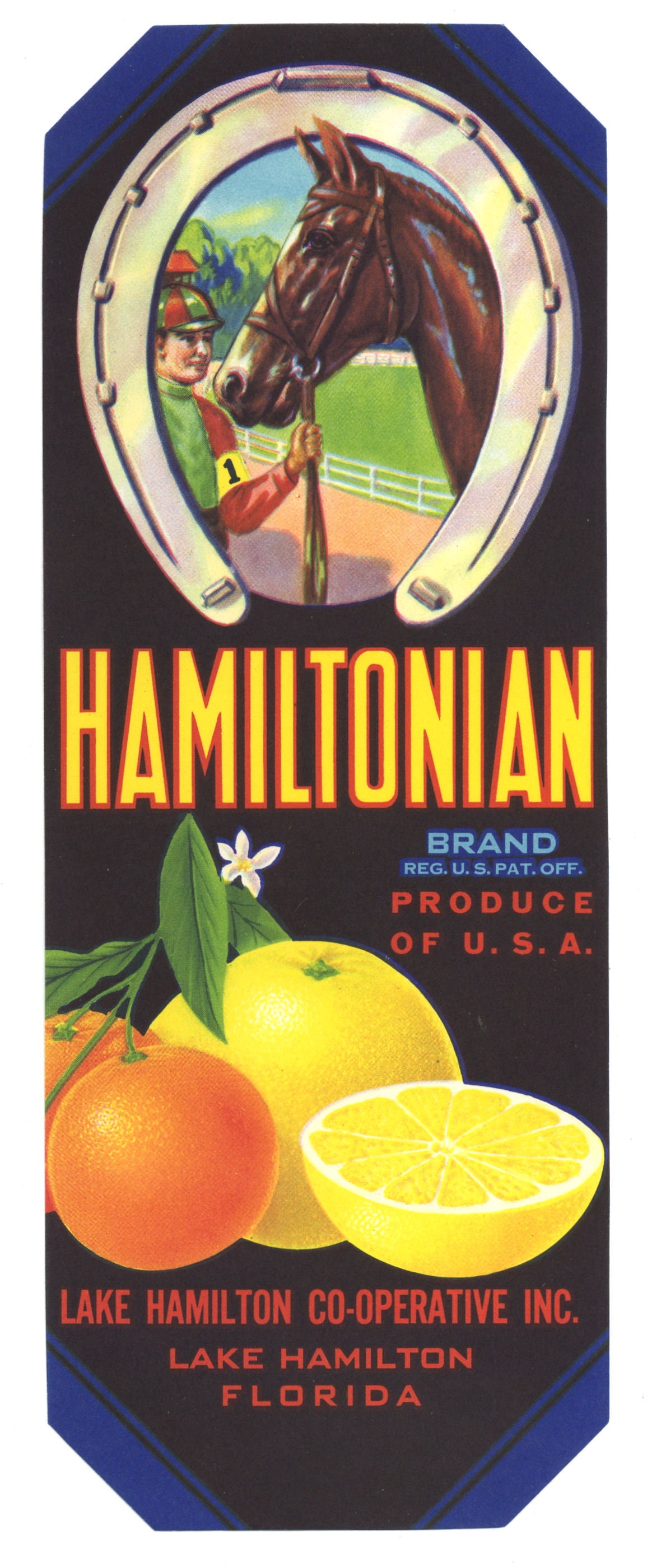 Six Different Florida Fruit Crate Labels - Etsy