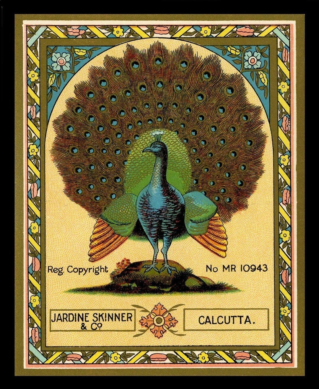 Peacock Clothing Label Large Refrigerator Magnet - Etsy