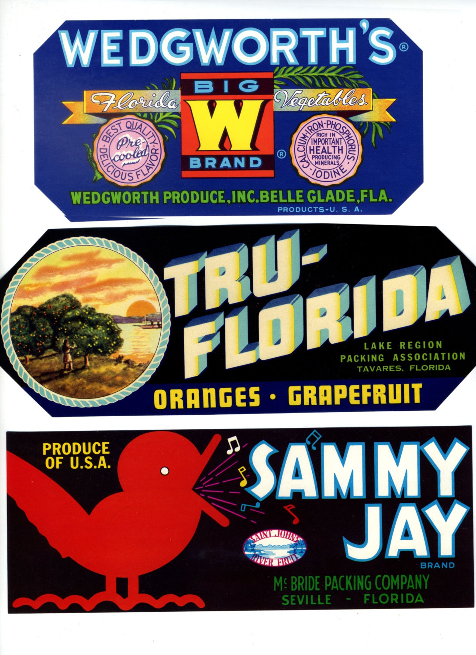 12 Different Florida Fruit Vegetable Labels Scrapbooking or | Etsy
