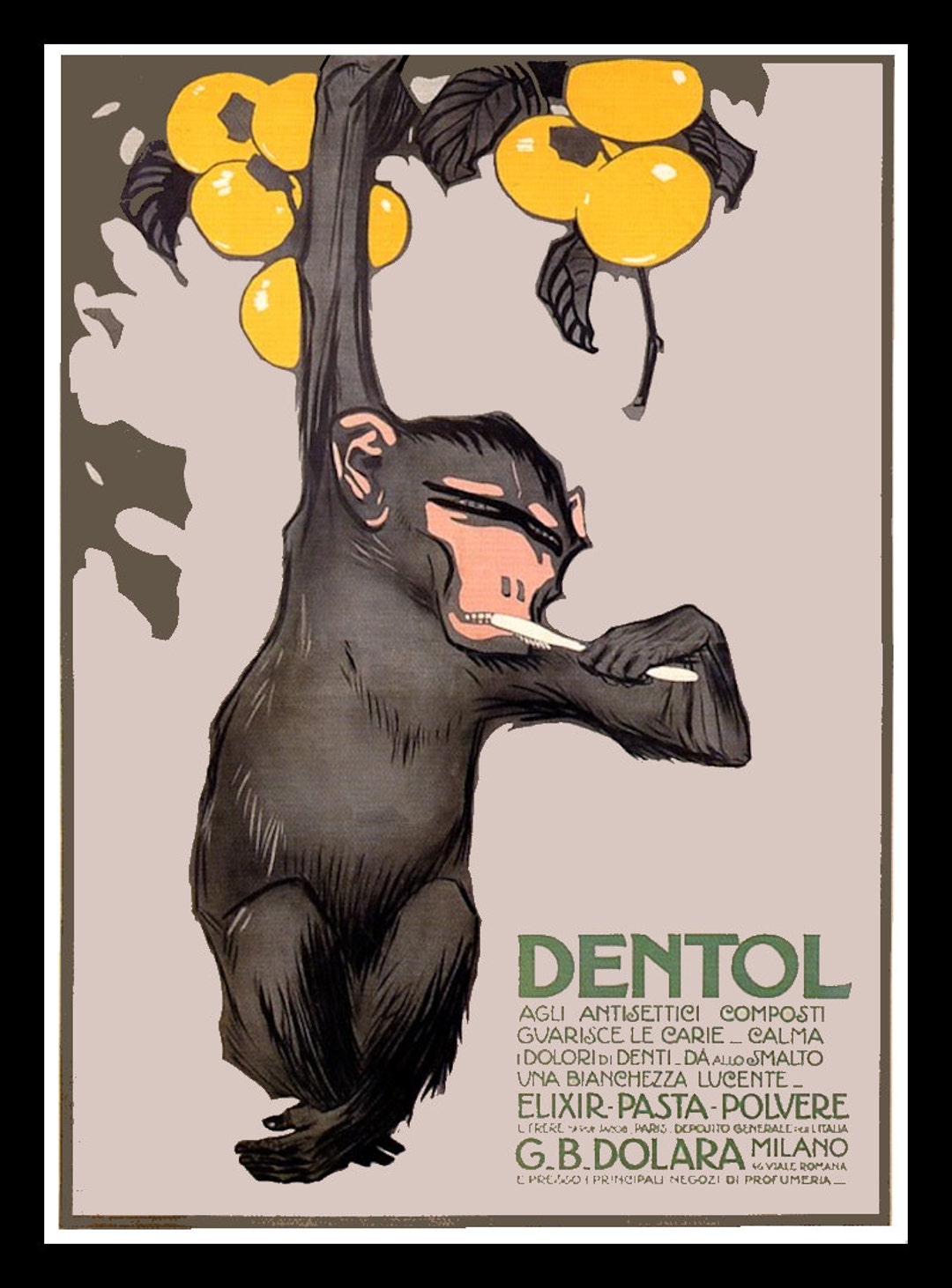 Dentol Monkey Brushing Teeth Large Refrigerator Magnet Free US Shipping ...
