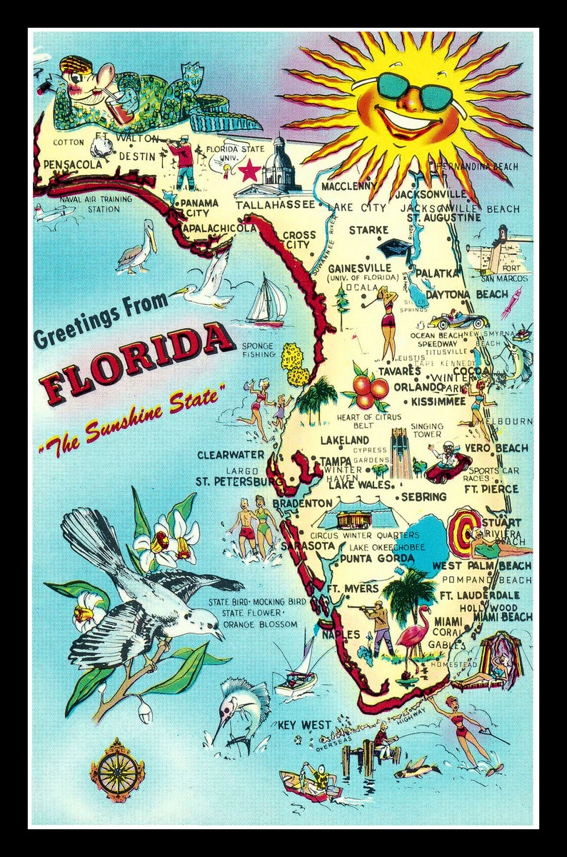 Greetings From Florida the Sunshine State Retro Postcard Large - Etsy