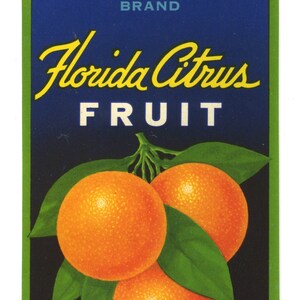 Six Different Florida Fruit Crate Labels - Etsy