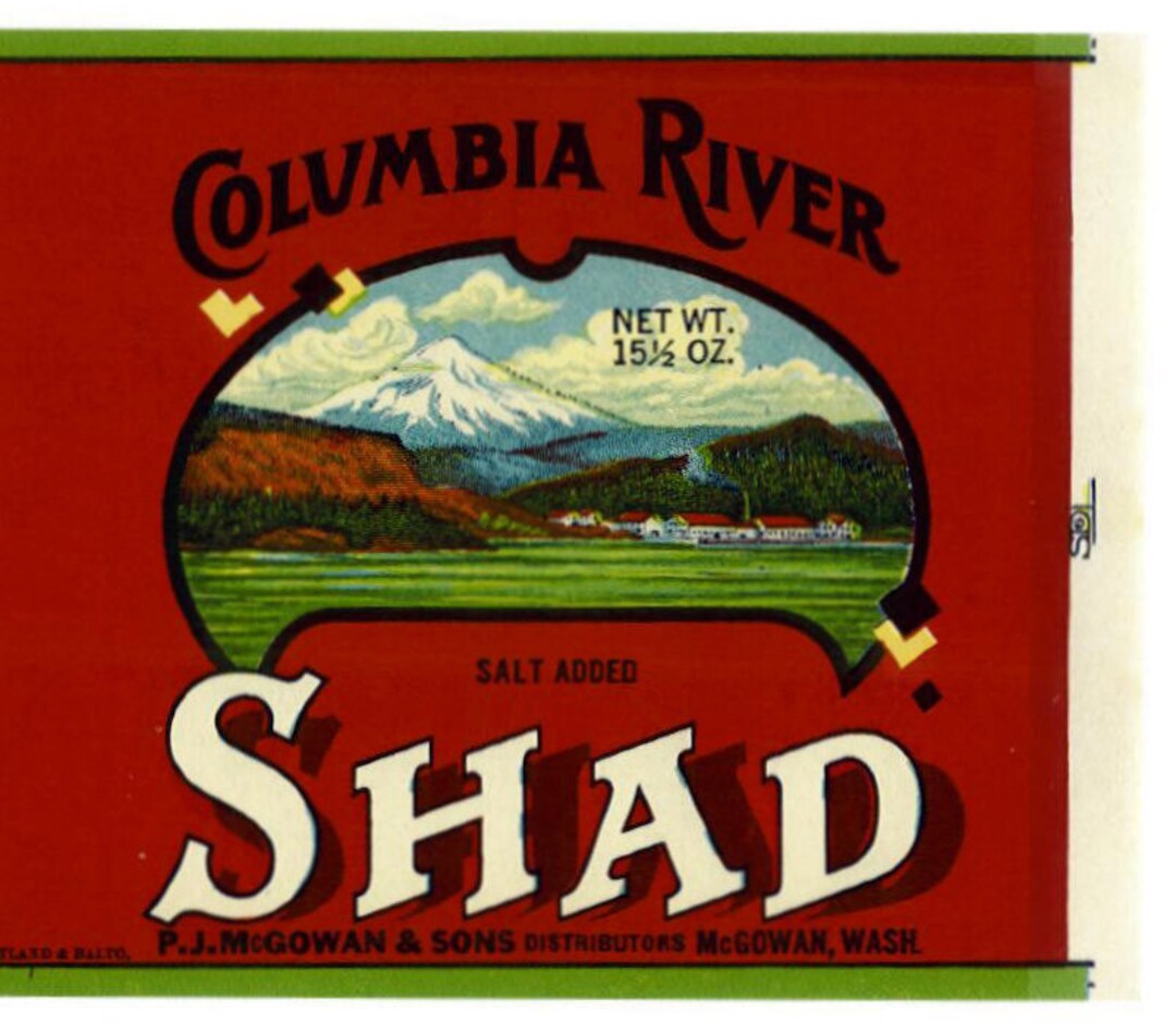 Original Vintage Can Label Shad Columbia River Fish Washington - Etsy