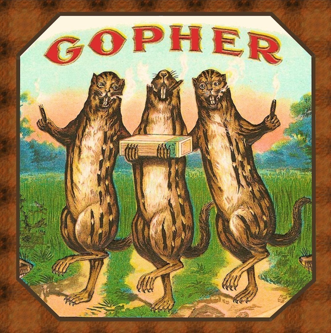 Dancing and Singing Gophers Refridgerator Magnets Free US Shipping - Etsy