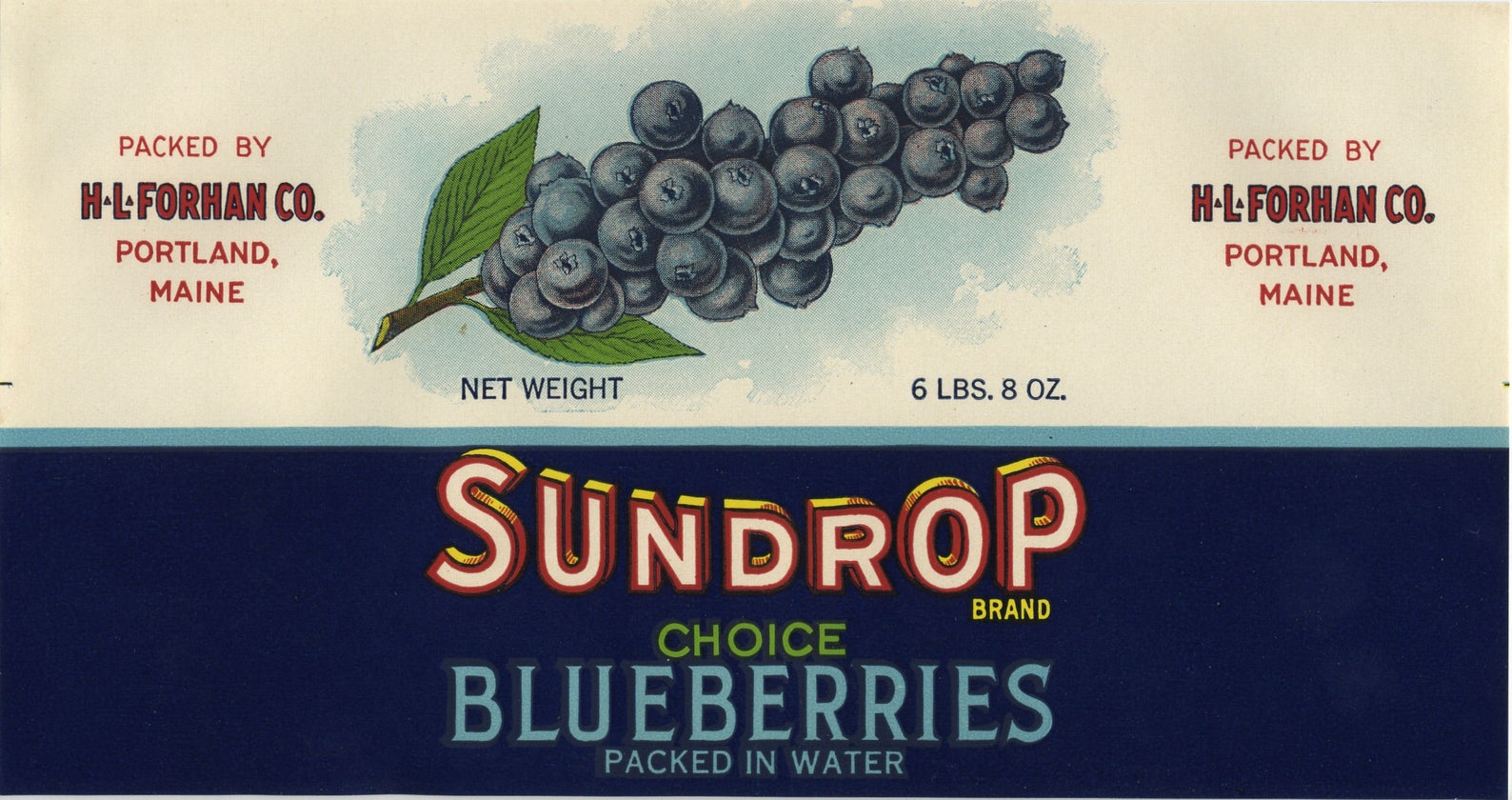 Nine Different Blueberry Can Labels - Etsy