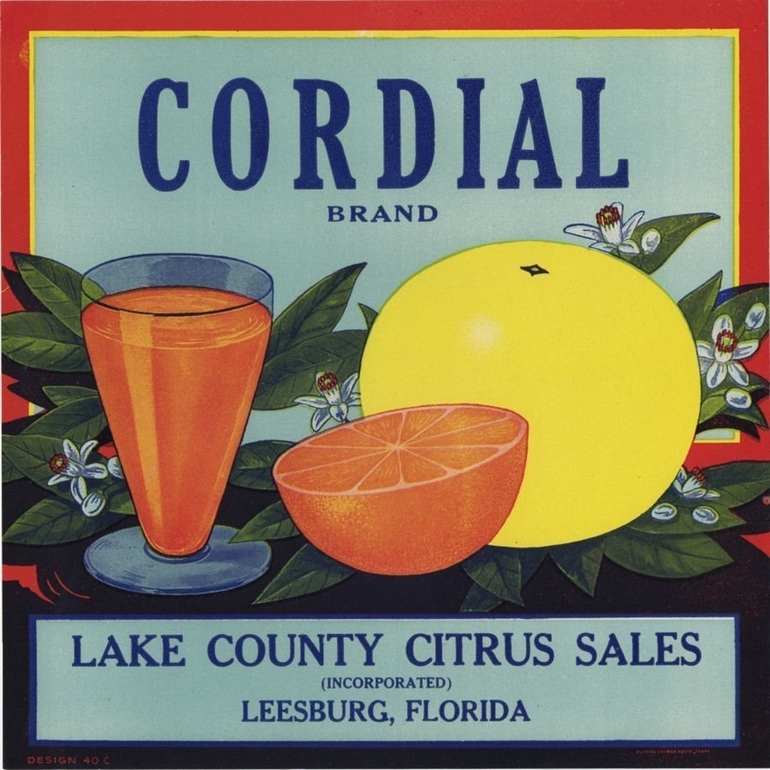 Cordial Citrus Orange Grapefruit Crate Label Florida - Etsy