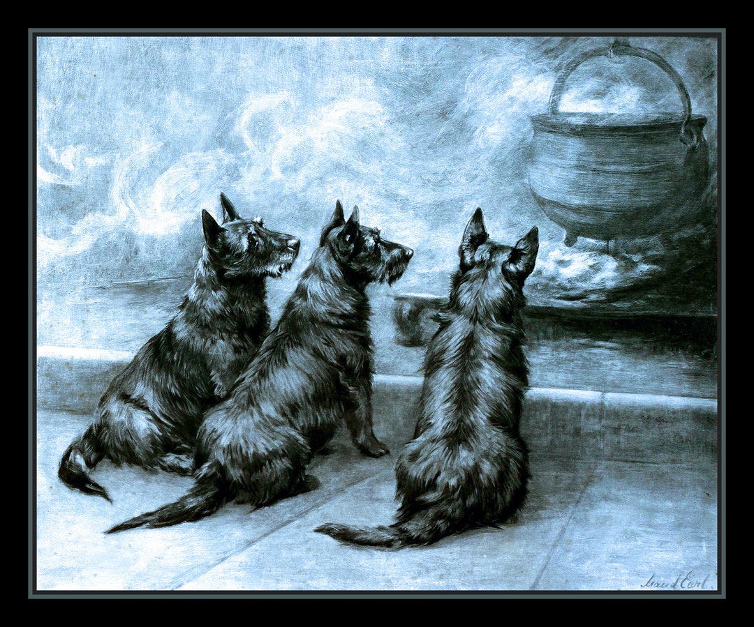 Three Scotty Dogs Watching Pot Boil Large Refrigerator Magnet Free US ...