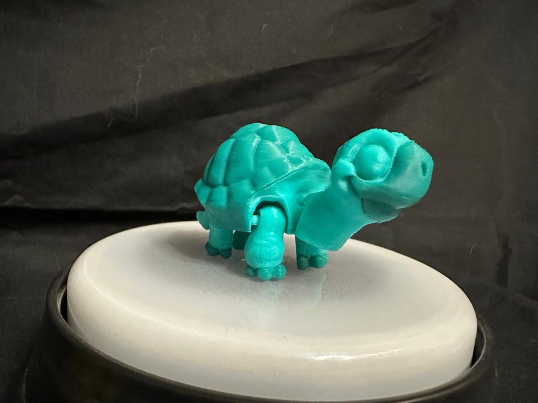 Turtle 3d Printing Print 3d Printer - Etsy