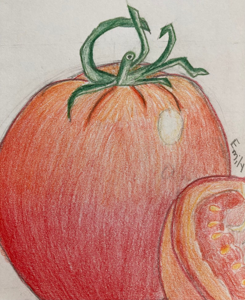 Original Tomato Drawing, Original Vegetable Drawing,tomato Painting ...
