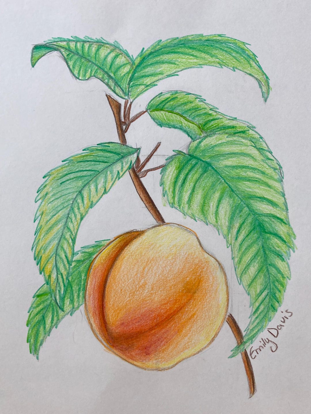 Original Peaches Drawing, Fruit Drawing, Peach Painting, Fruit Painting ...