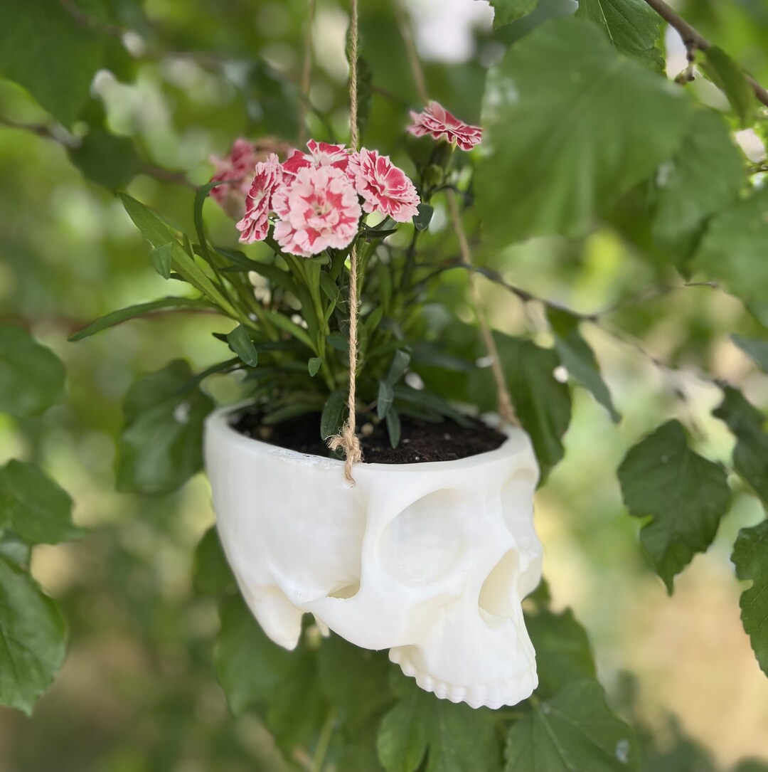 Skull Planter/vase 3D Printed Hang or Display Gothic Home Decor Perfect ...