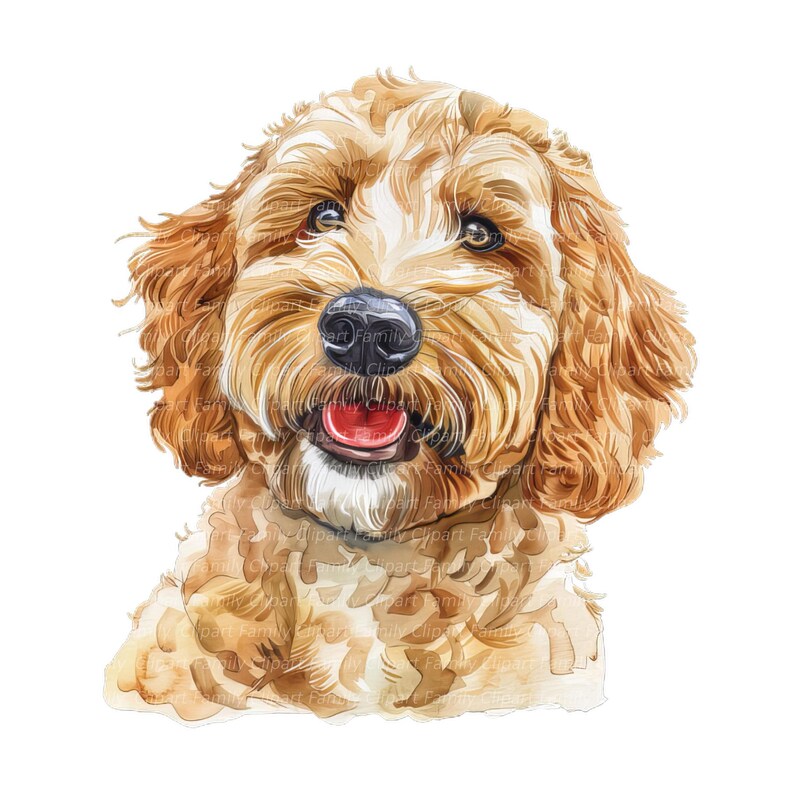 12 Goldendoodle Clipart Watercolor Bundle, Dog Portrait, Printable ...