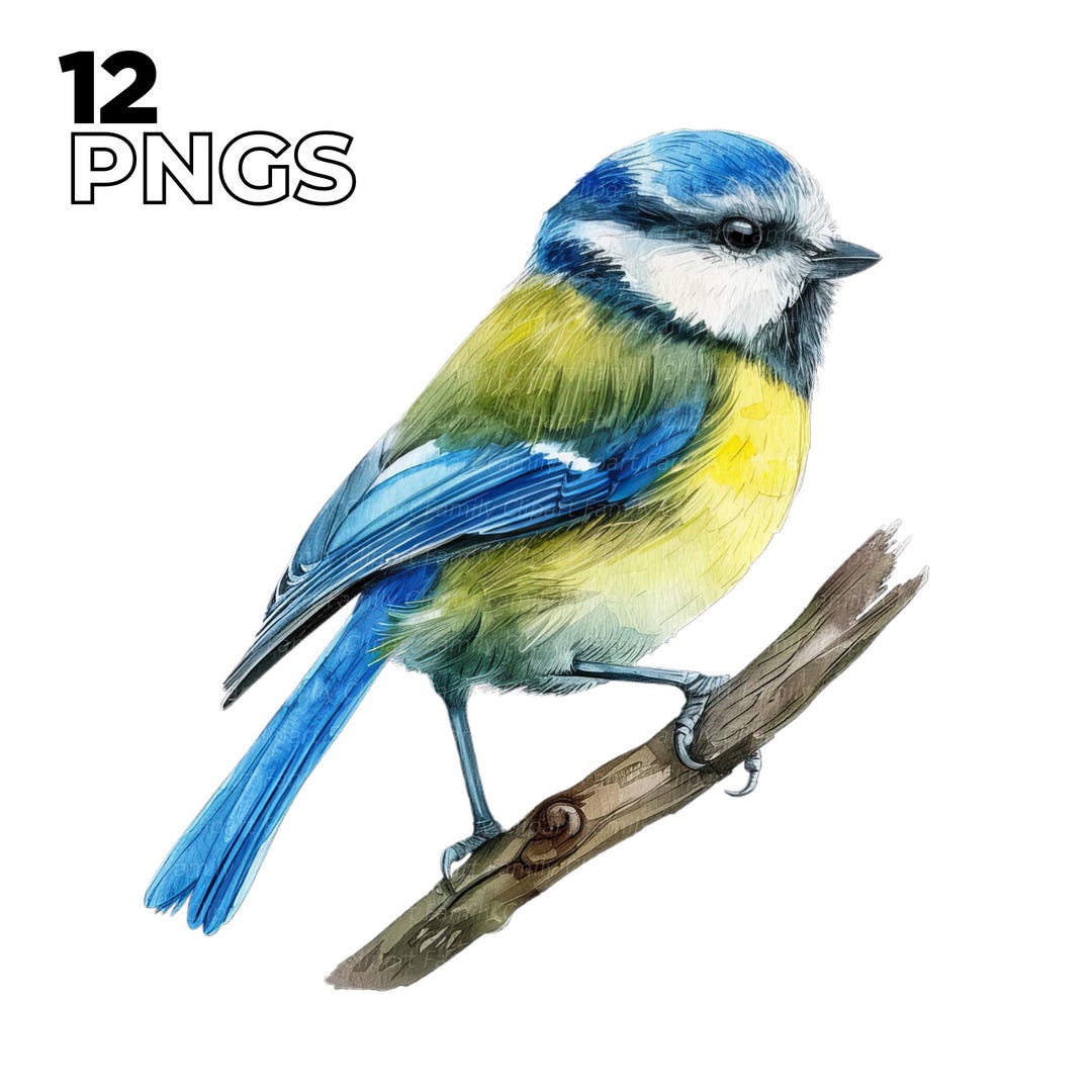 12 Blue Tit Clipart, Forest Colorful Little Bird, Printable Watercolor ...