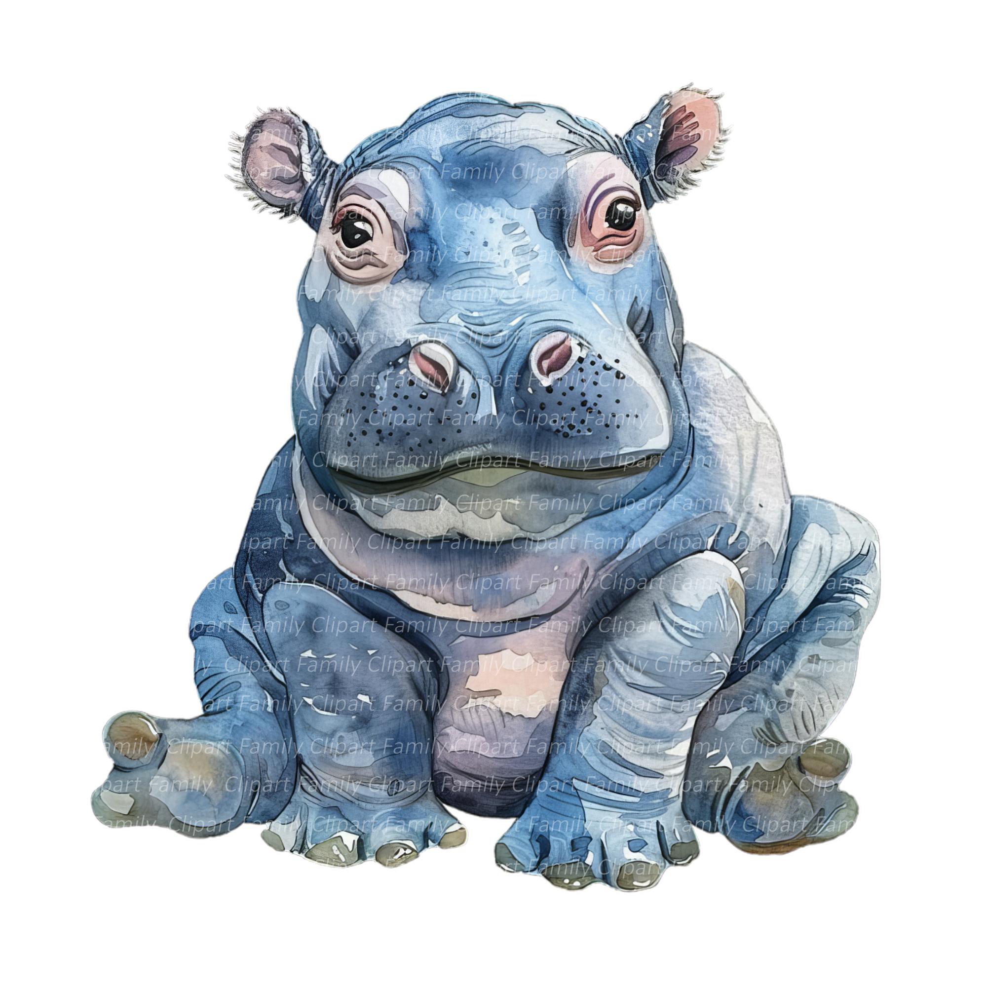 12 Watercolor Hippo Clipart Bundle, Hippopotamus Clipart, Printable ...