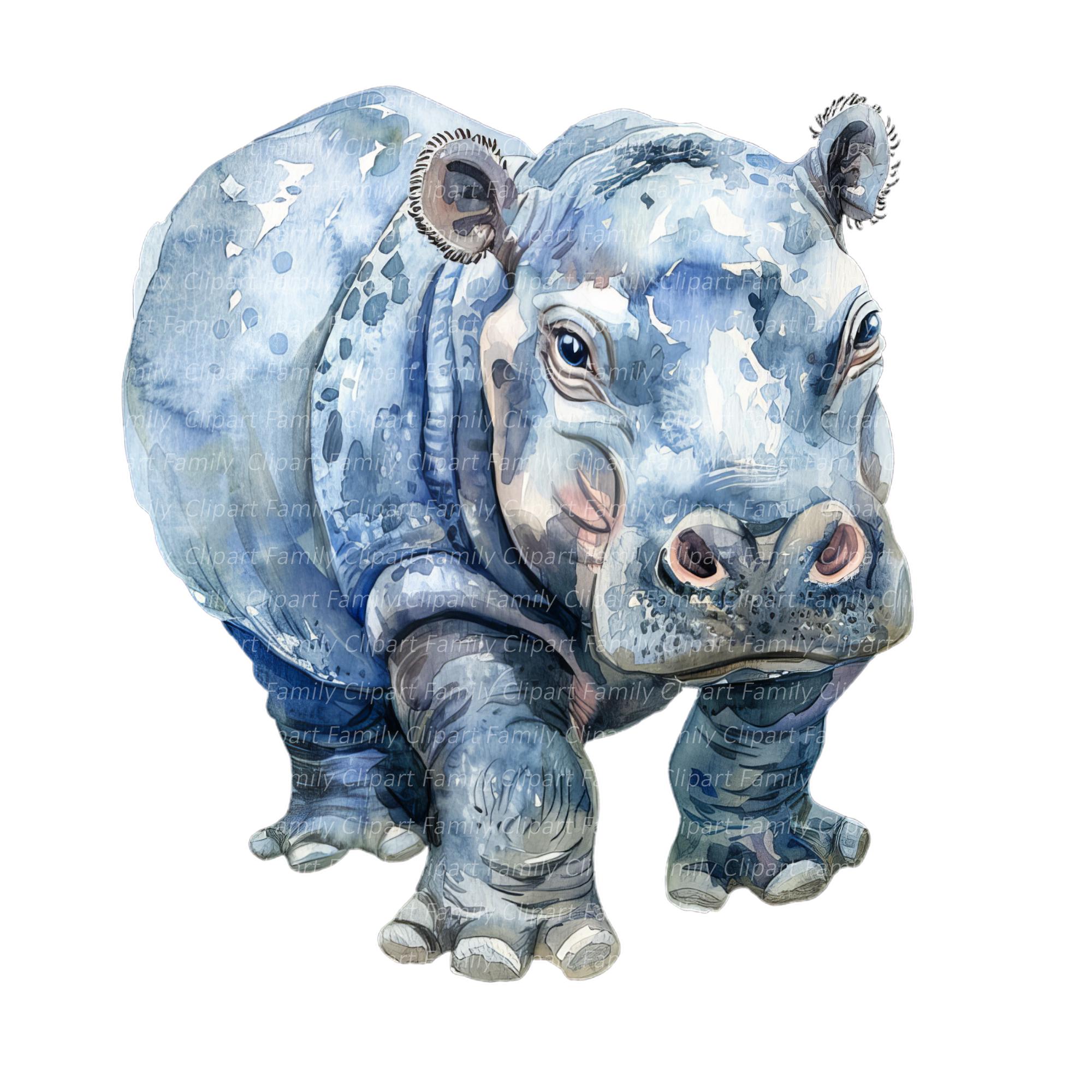 12 Watercolor Hippo Clipart Bundle, Hippopotamus Clipart, Printable ...