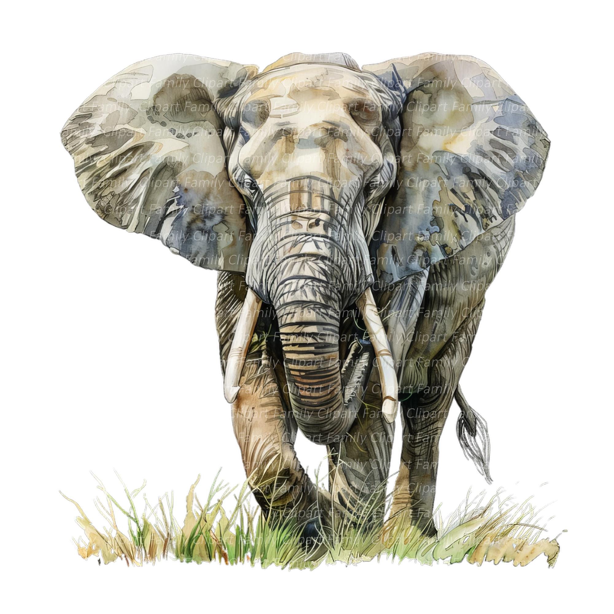 13 Elephant Clipart, Elephant Images, , Watercolor Animal Clipart ...