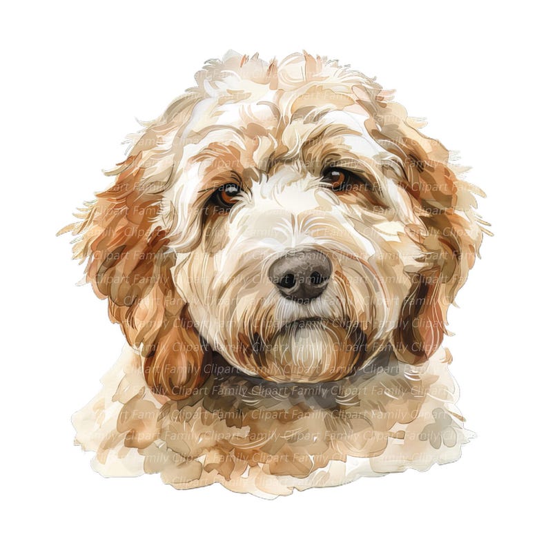 12 Goldendoodle Clipart Watercolor Bundle, Dog Portrait, Printable ...