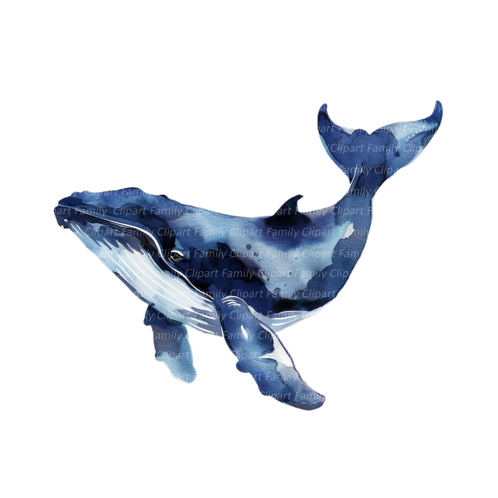 10 Whale Clipart, Blue Whale Poster, Printable Watercolor Clipart, High ...