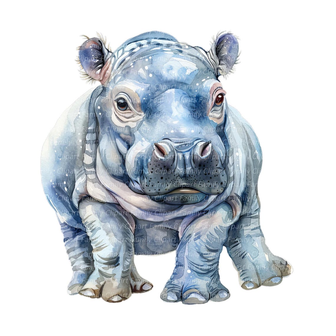 12 Watercolor Hippo Clipart Bundle, Hippopotamus Clipart, Printable ...