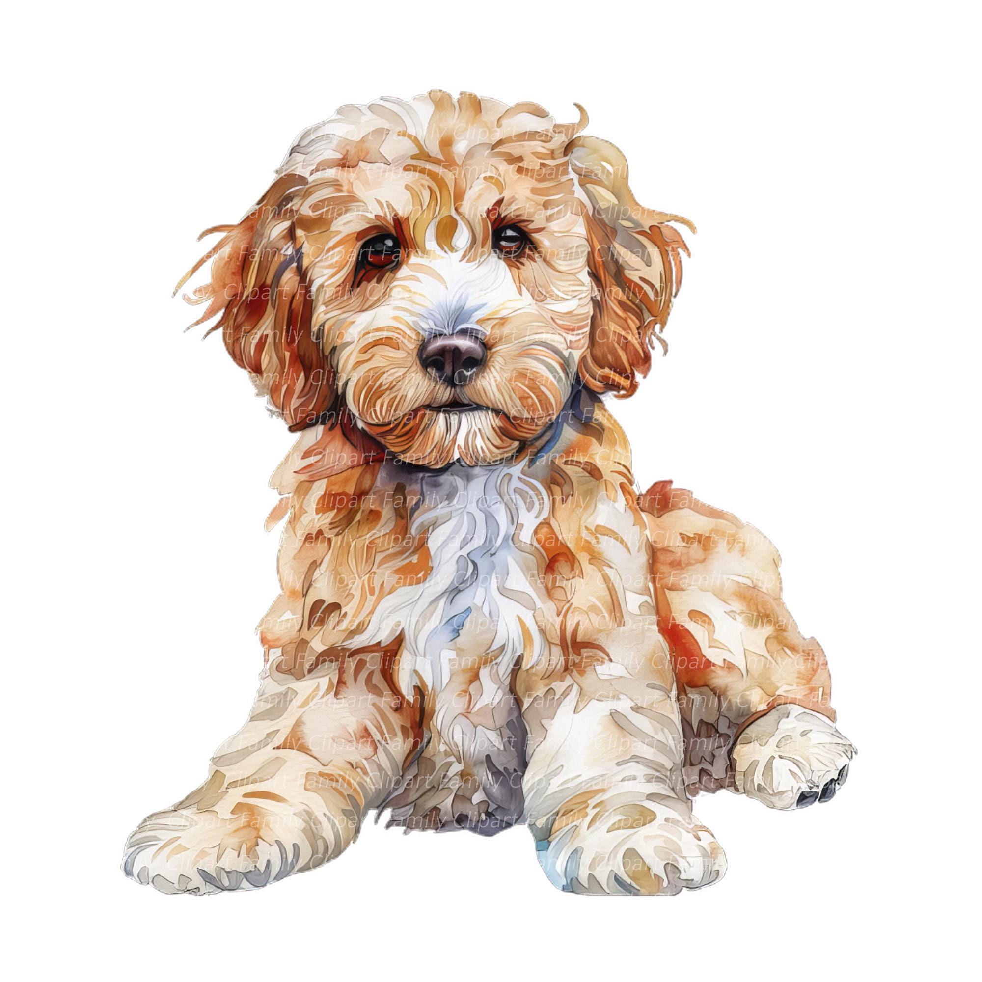 12 Goldendoodle Clipart Watercolor Bundle, Dog Portrait, Printable ...