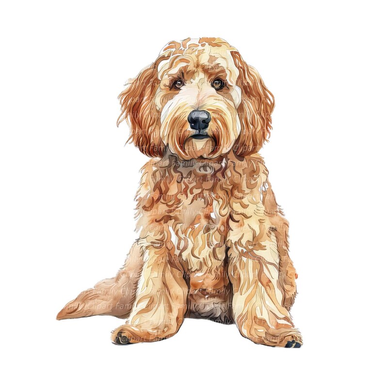 12 Goldendoodle Clipart Watercolor Bundle, Dog Portrait, Printable ...