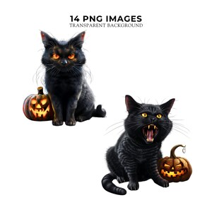 Halloween Cat, Witch Clipart, Pumpkin, Printable 3D Clipart, High ...