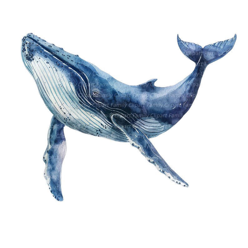 10 Whale Clipart, Blue Whale Poster, Printable Watercolor Clipart, High ...