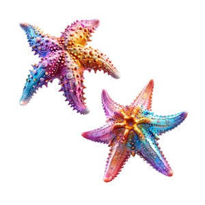 10 Starfish Clipart, Starfish in Beach, Printable 3D Clipart, High ...