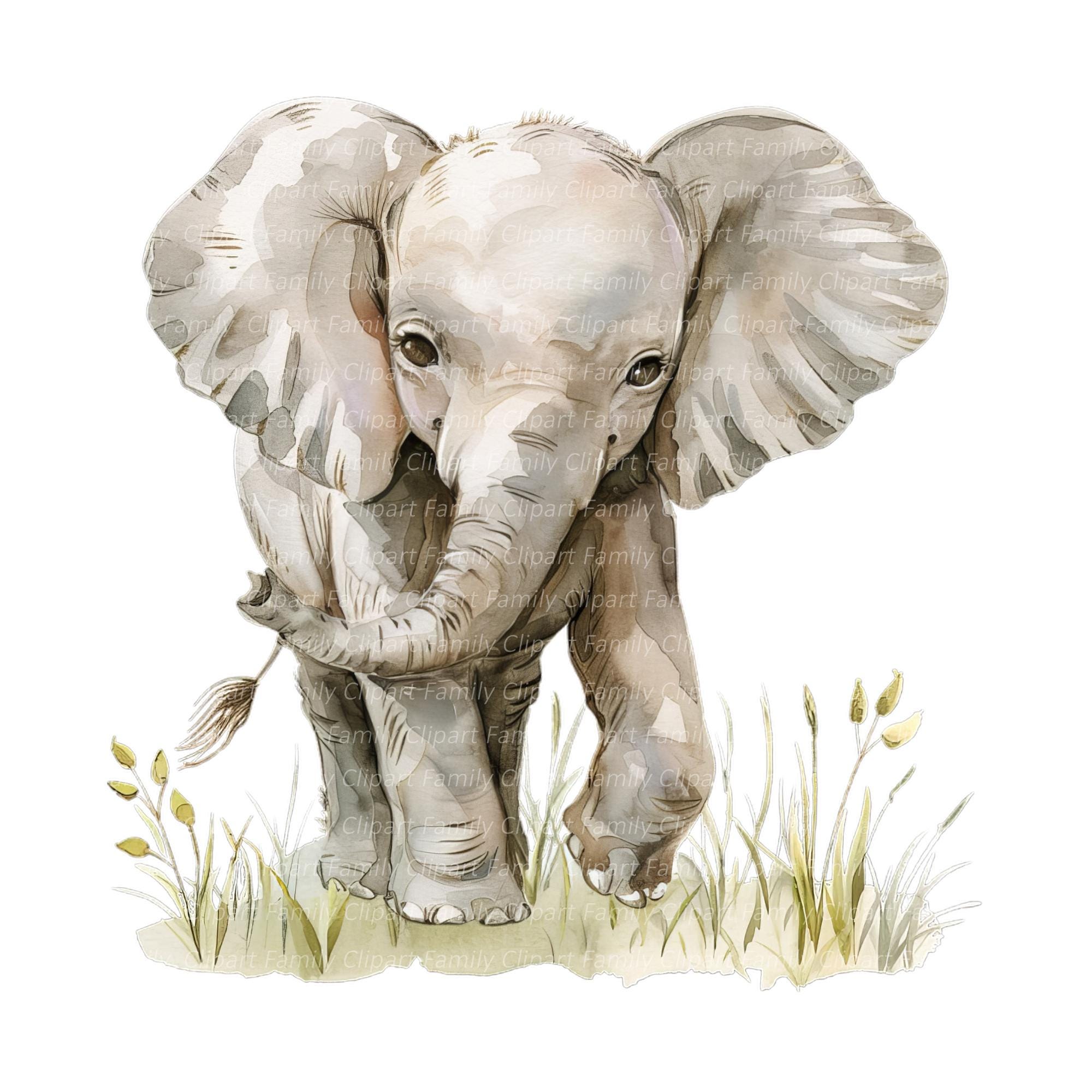 Watercolor Elephants Clipart, Digital Illustration, Baby Elephant ...
