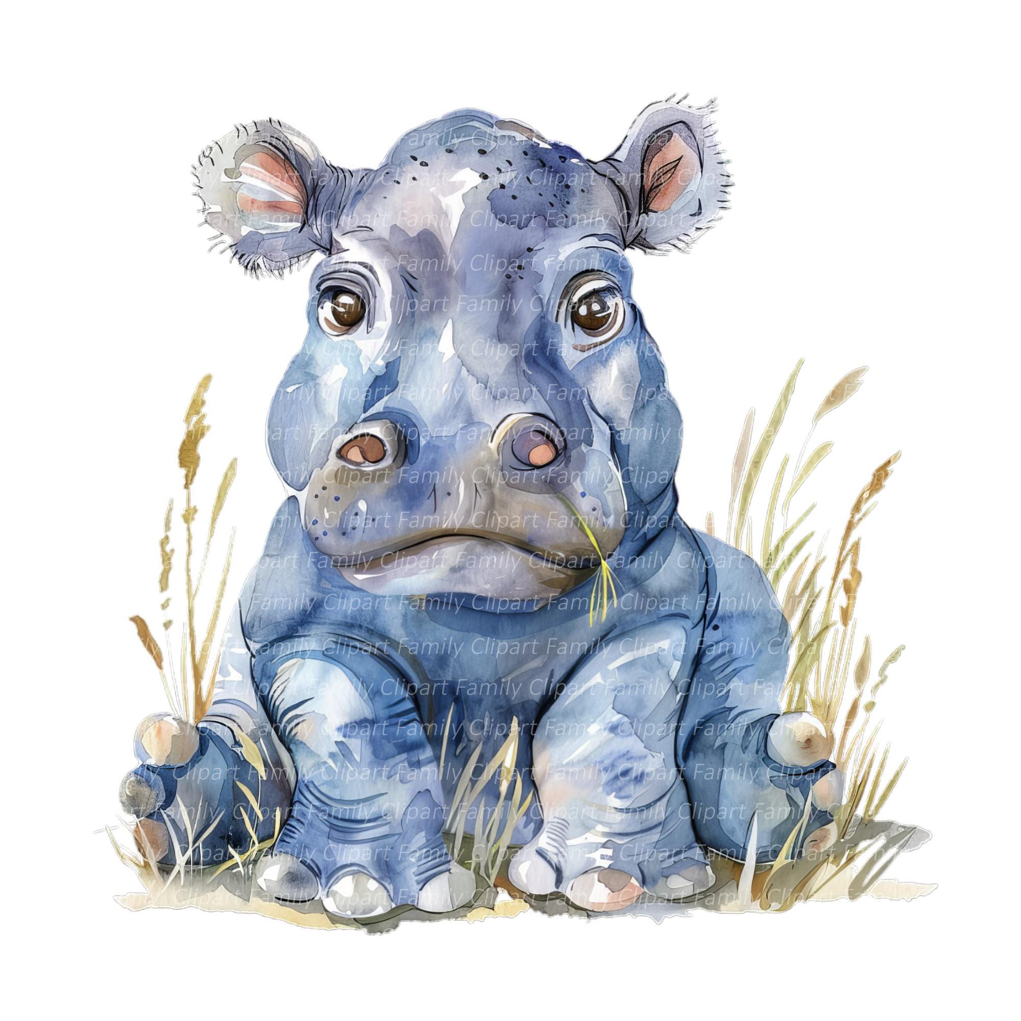 12 Watercolor Hippo Clipart Bundle, Hippopotamus Clipart, Printable ...