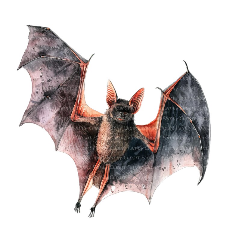 11 Cute Bat Clipart, Watercolor Bat Clipart, Printable Watercolor ...