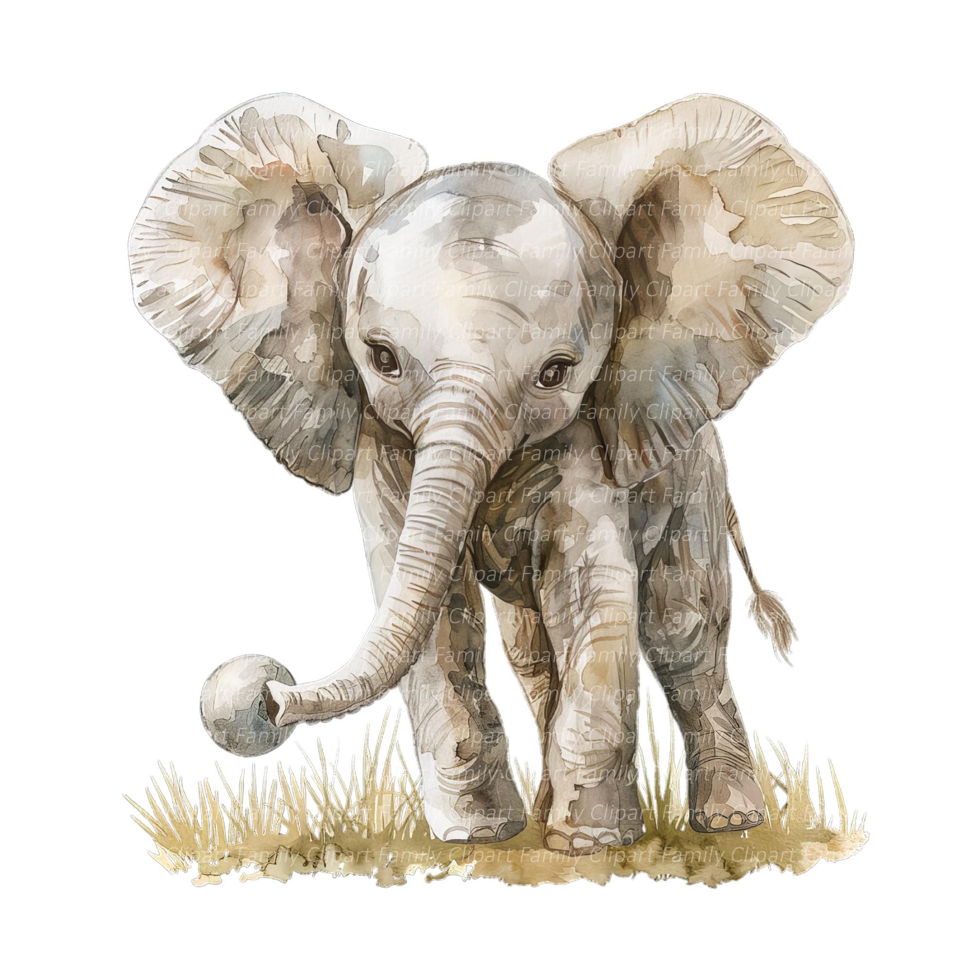 Watercolor Elephants Clipart, Digital Illustration, Baby Elephant ...