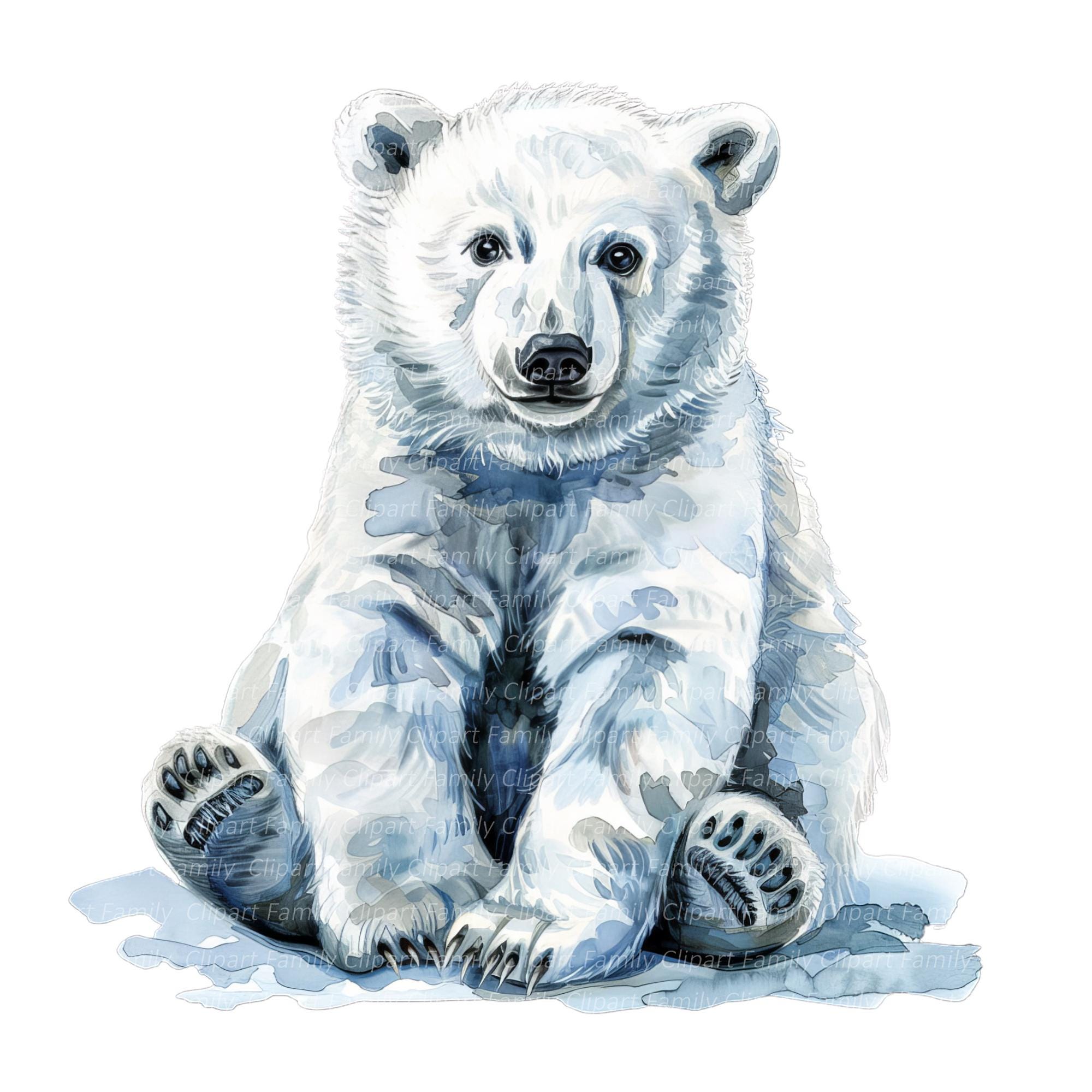 13 Cute Polar Bear Clipart Bundle, Printable Watercolor Clipart, High ...