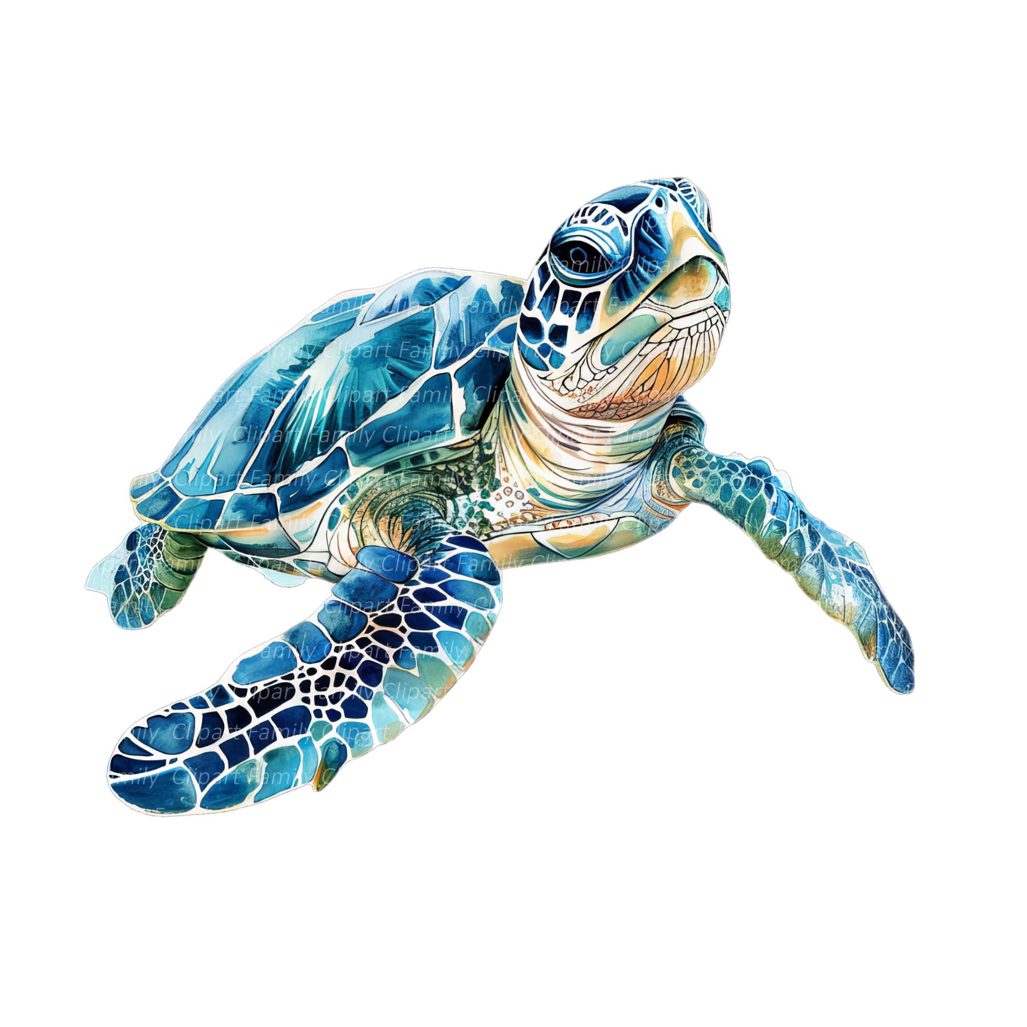 Sea Turtle Clipart, PNG Bundle, Colorful Turtle, Printable Watercolor ...