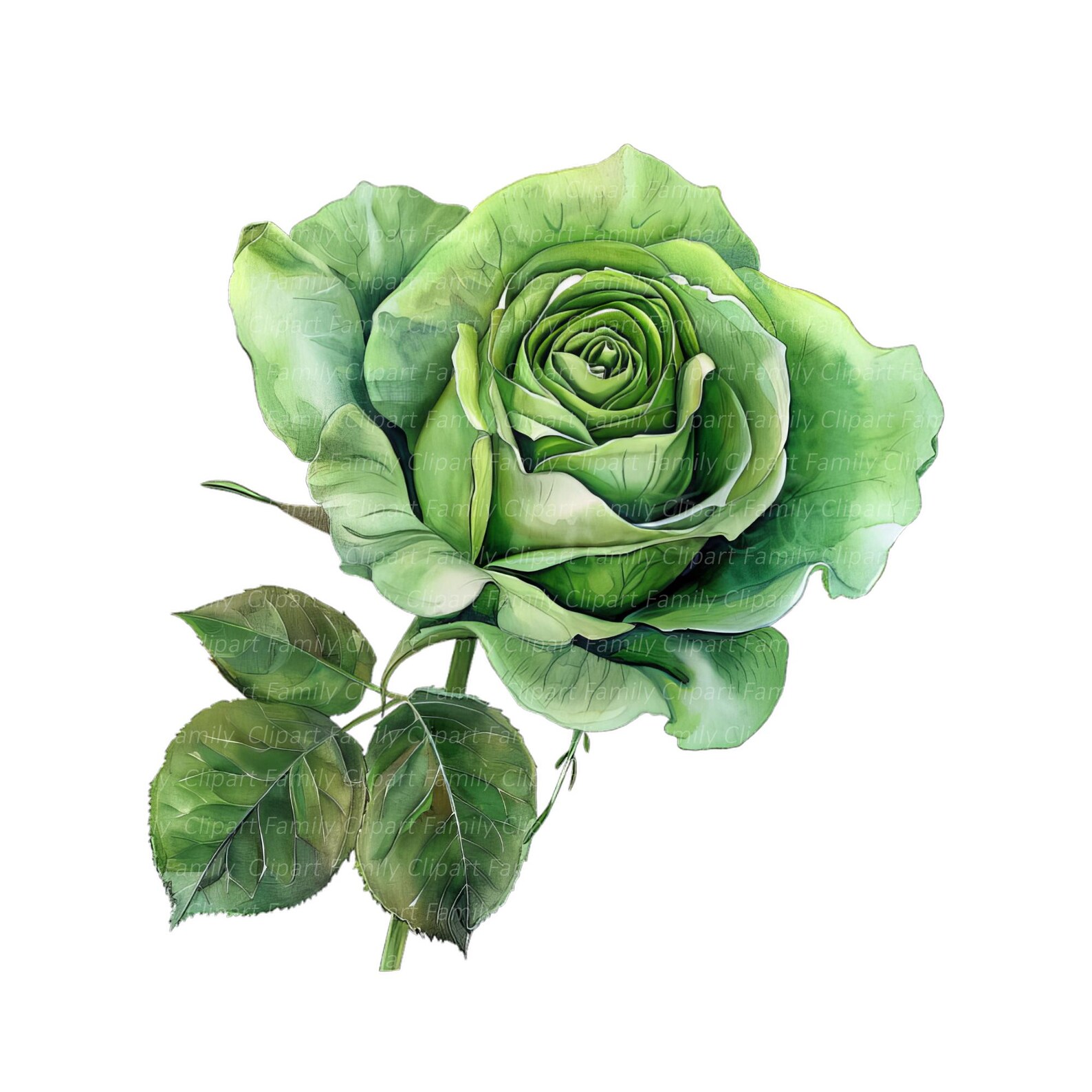 15 Watercolor Green Floral Clipart, Green Floral, Printable Watercolor ...