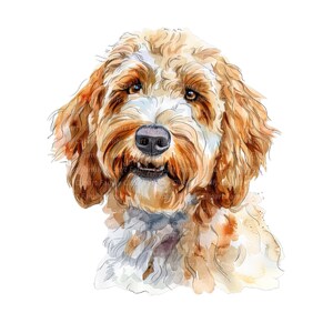 12 Goldendoodle Clipart Watercolor Bundle, Dog Portrait, Printable ...