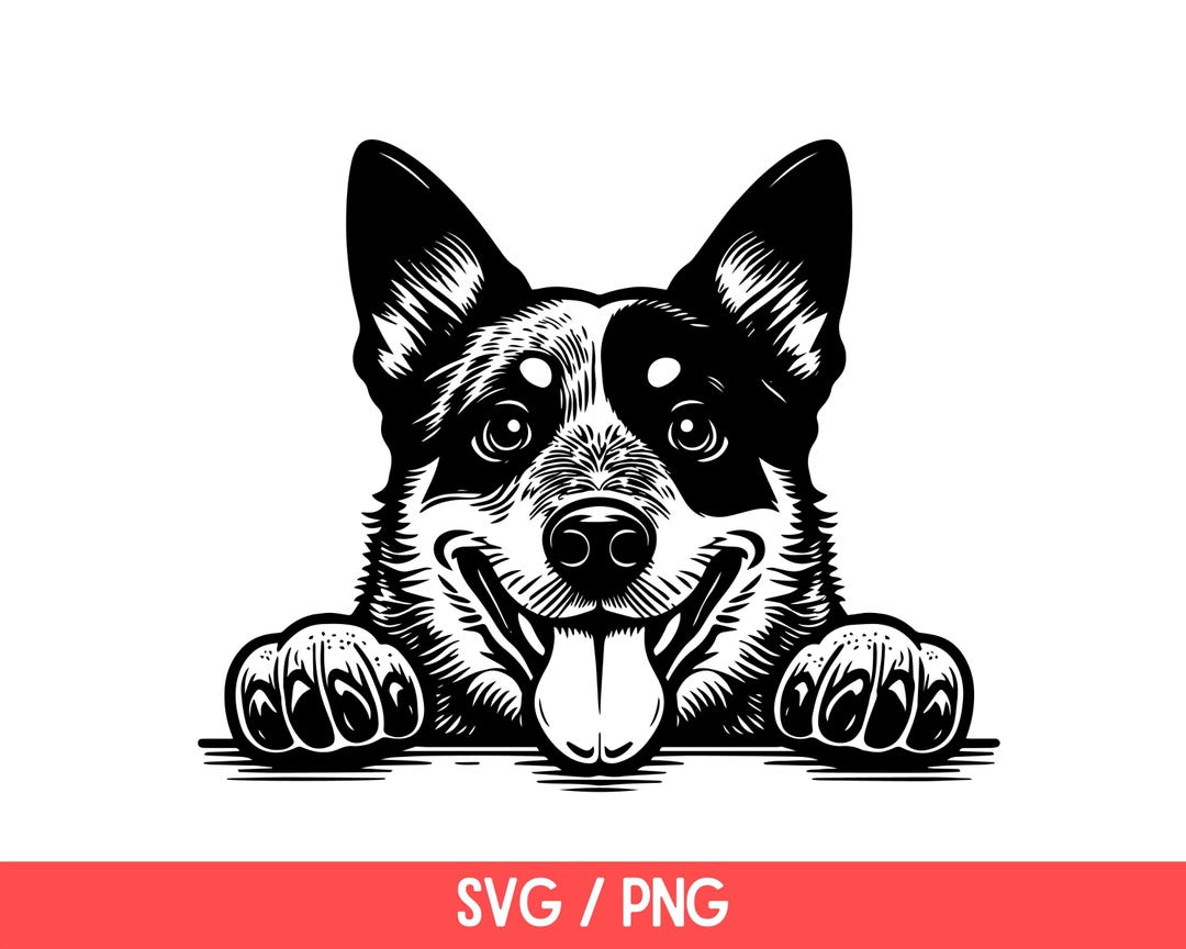 Australian Cattle Dog Blue Heeler SVG Cricut, Cute Puppy SVG Png, Dog ...