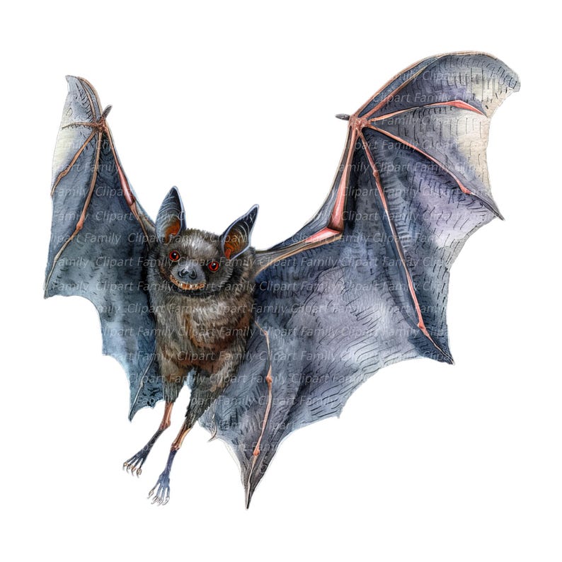 11 Cute Bat Clipart, Watercolor Bat Clipart, Printable Watercolor ...