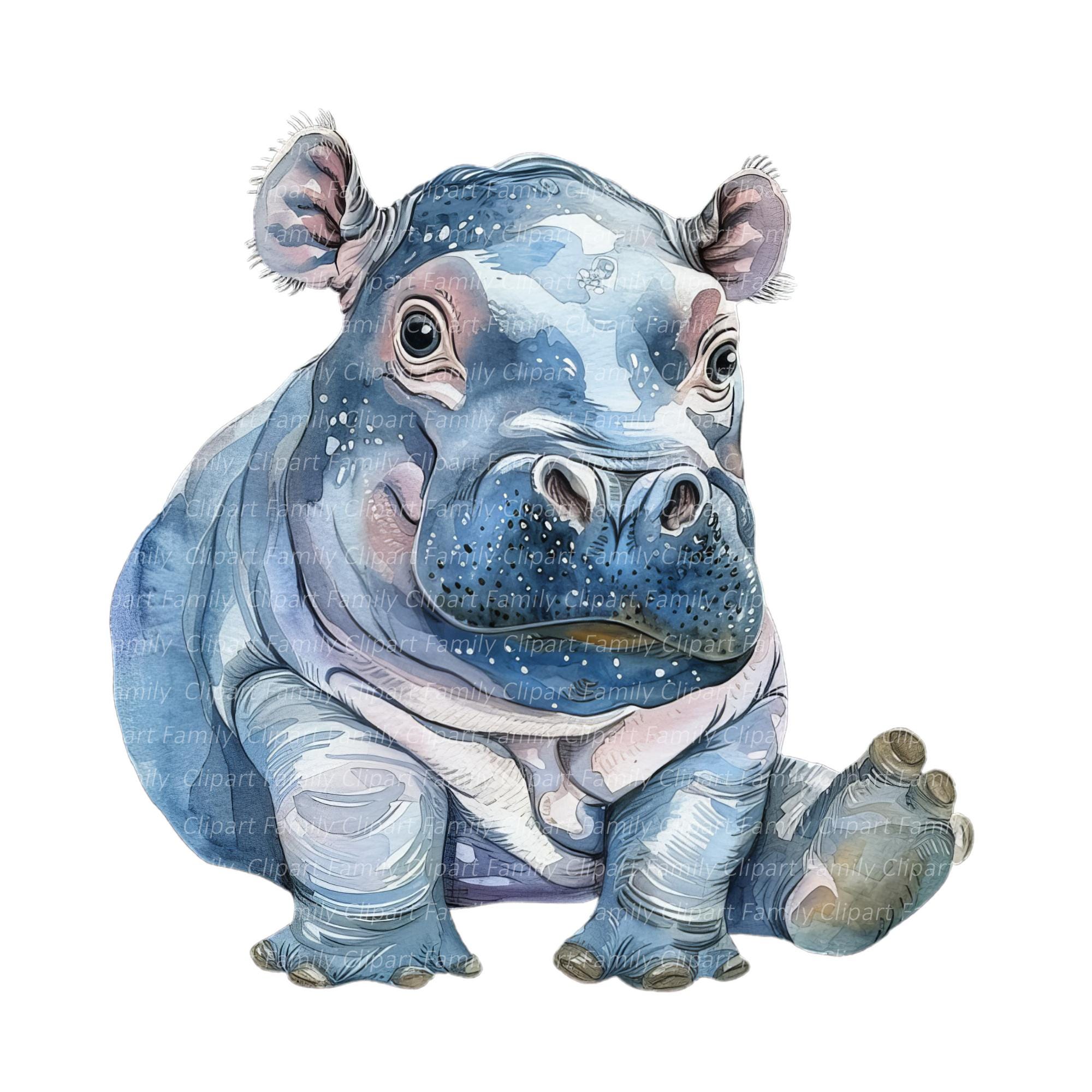 12 Watercolor Hippo Clipart Bundle, Hippopotamus Clipart, Printable ...