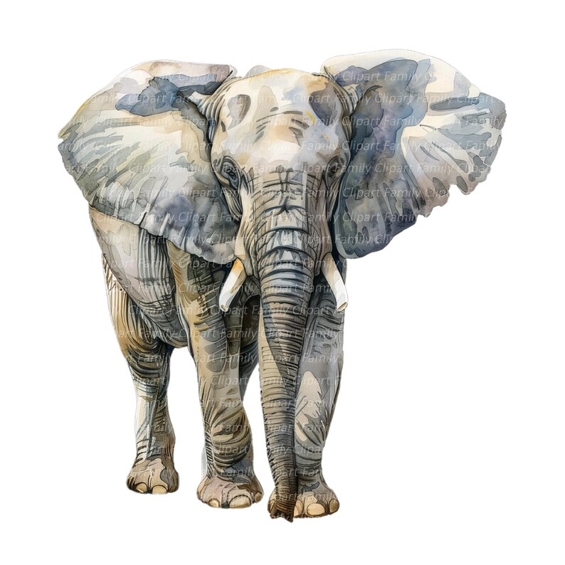 13 Elephant Clipart, Elephant Images, , Watercolor Animal Clipart ...