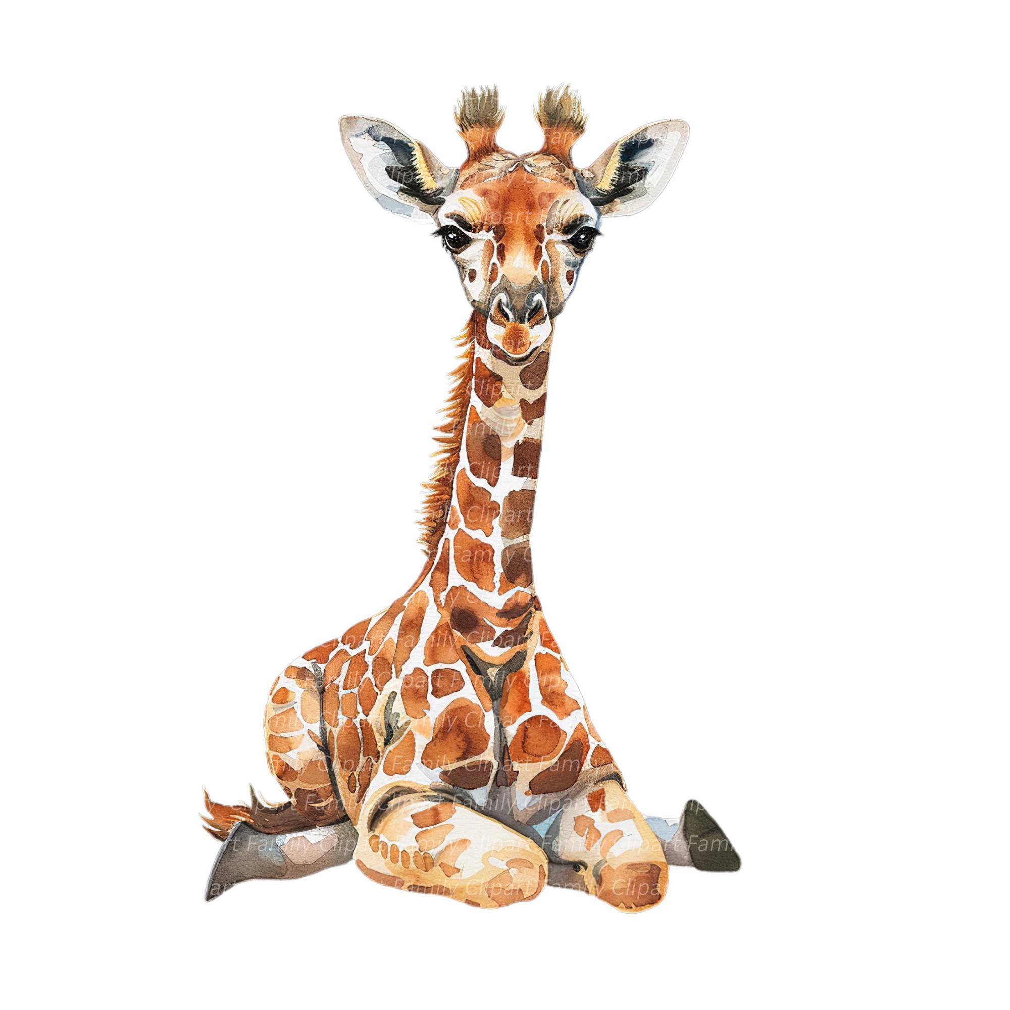 12 Watercolor Giraffe Clipart, Giraffe PNG, Jungle Animals, Safari ...